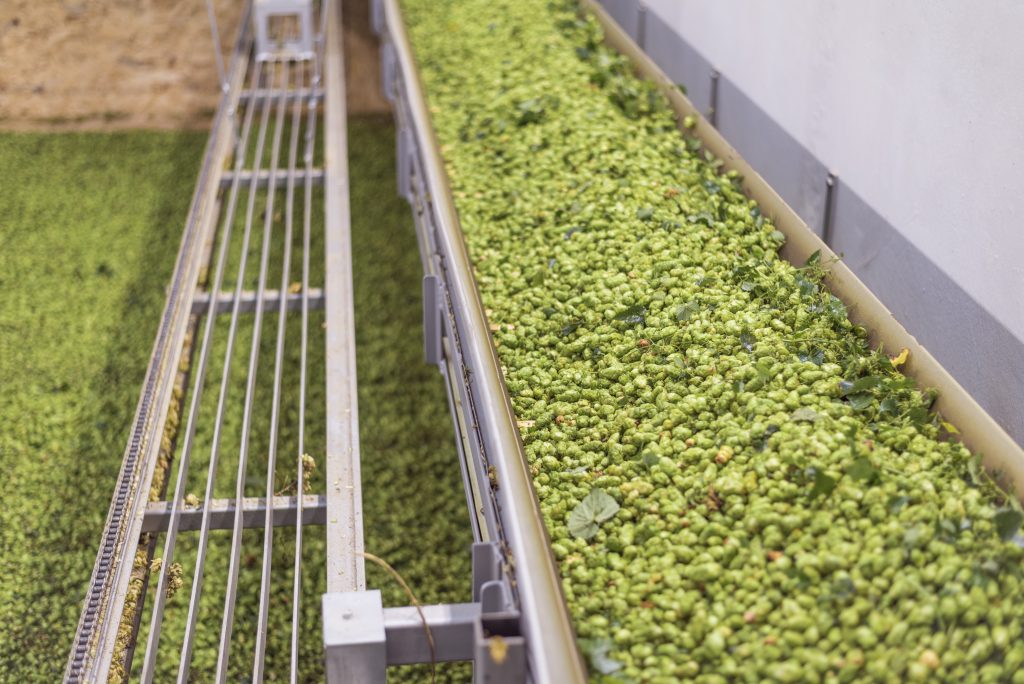 The State of Hops - First Key Consulting