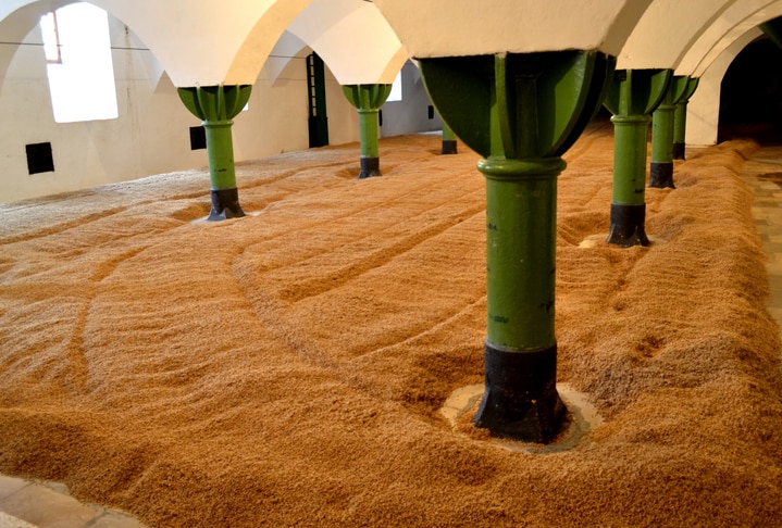 Investment Study for a Malt Plant in Asia - First Key Consulting